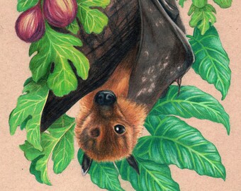 Fruit Bat Named Statler 5 X 7 Print by Wildlife | Etsy