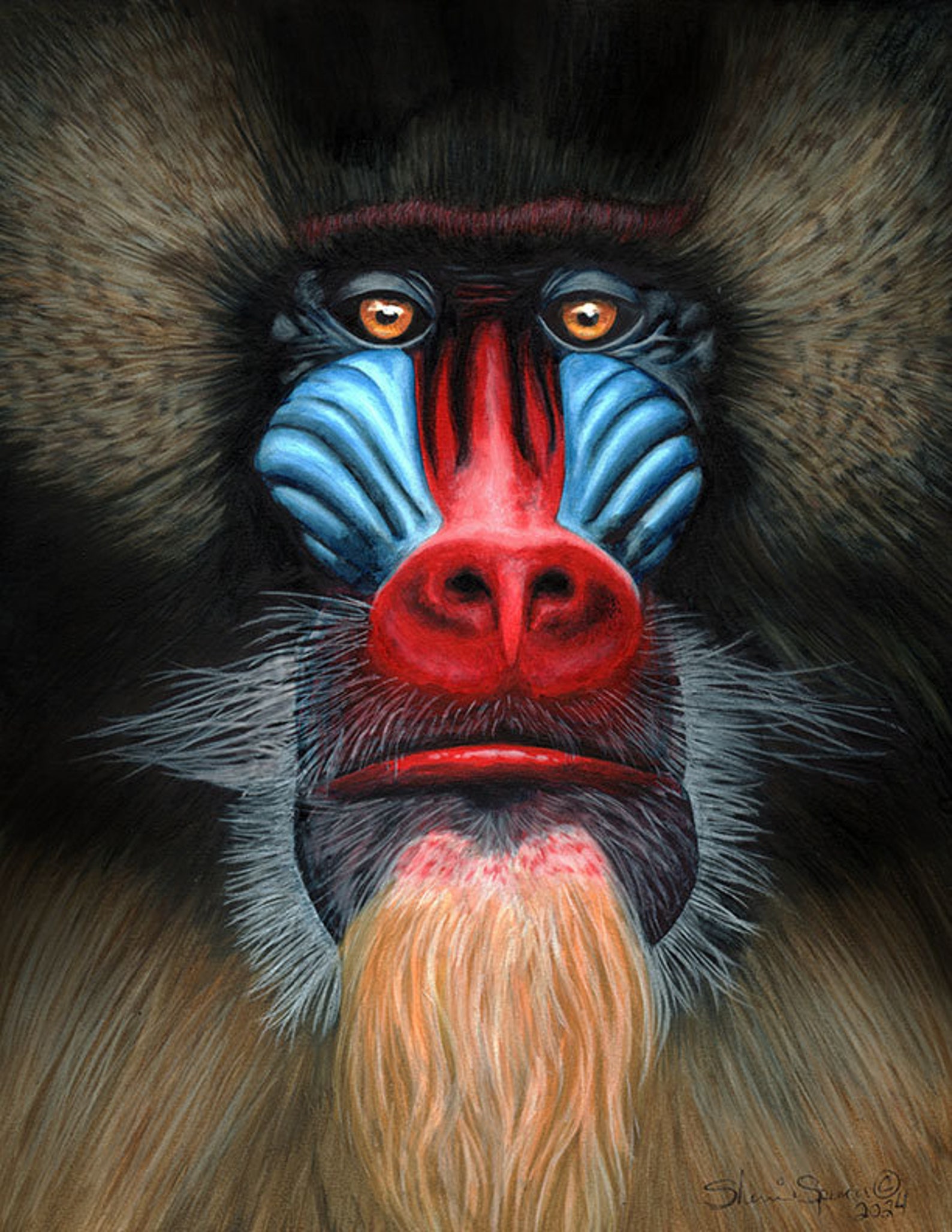 Male Mandrill Watercolor Painting Original Artwork 11 X 14 - Etsy