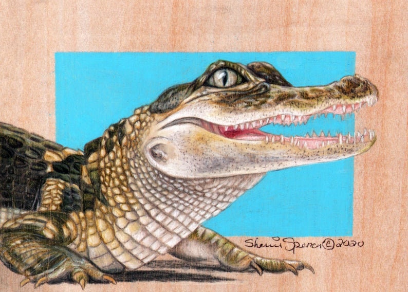 Baby Alligator Smiling 2 Print 8.5 X 11 by Artist - Etsy
