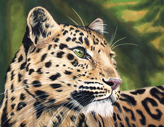 Amur Leopard Drawing Face