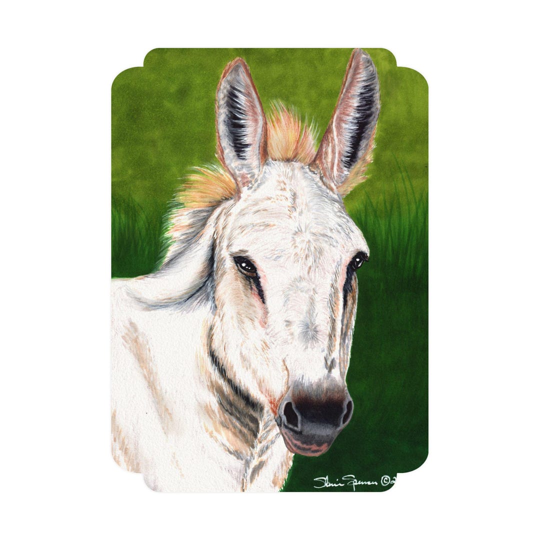 Donkey Postcards 1, 15, 30, and 45 Pcs - Etsy
