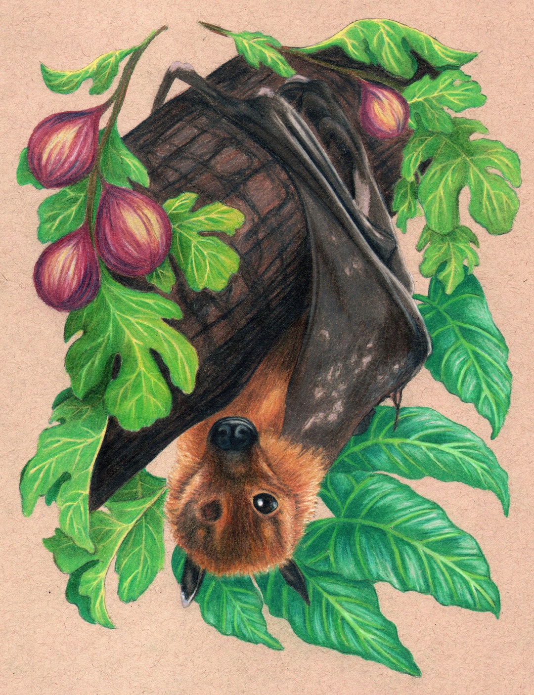 Fruit Bat Named Statler 5 X 7 Print by Wildlife - Etsy