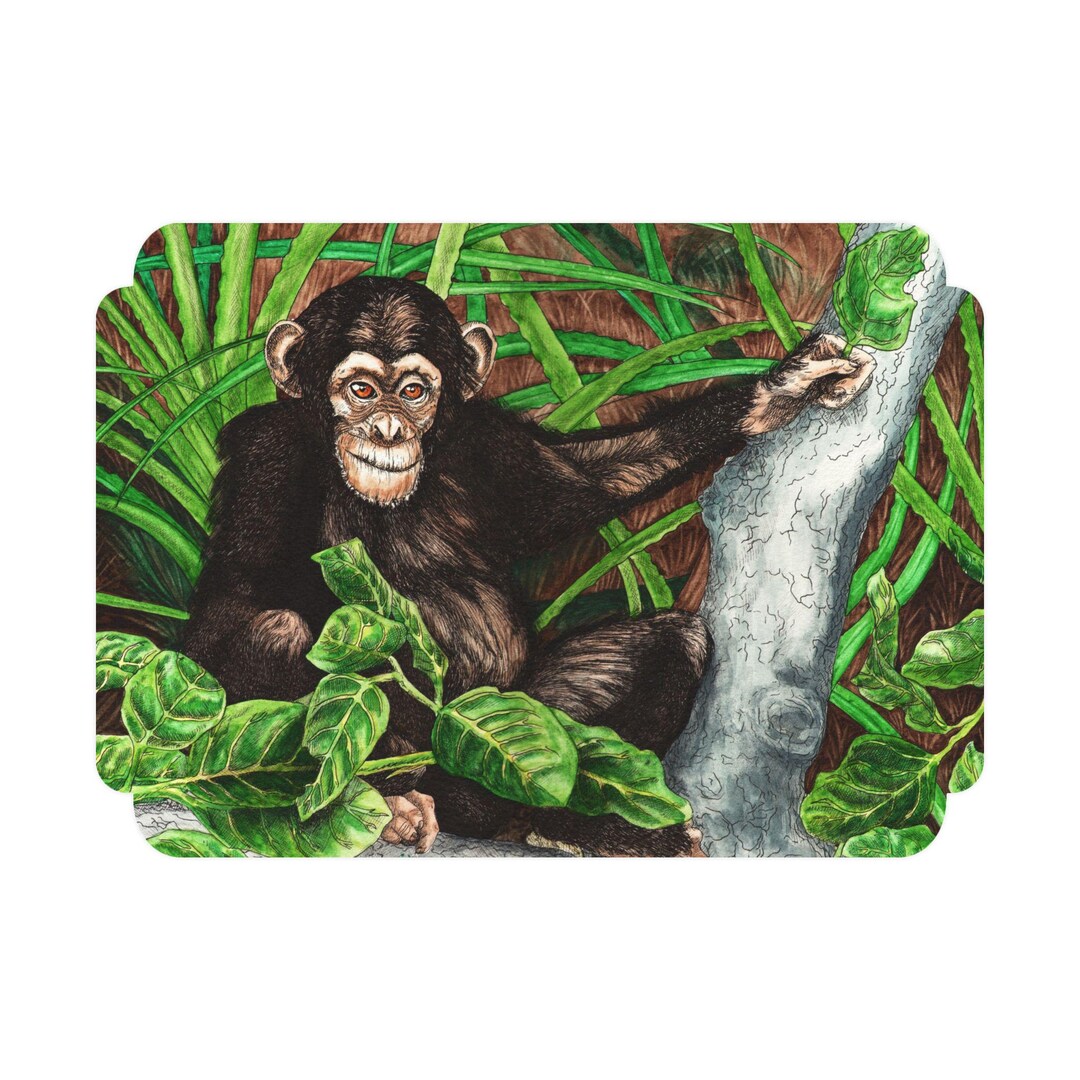 Chimpanzee Postcards 1, 15, 30, and 45 Pcs - Etsy