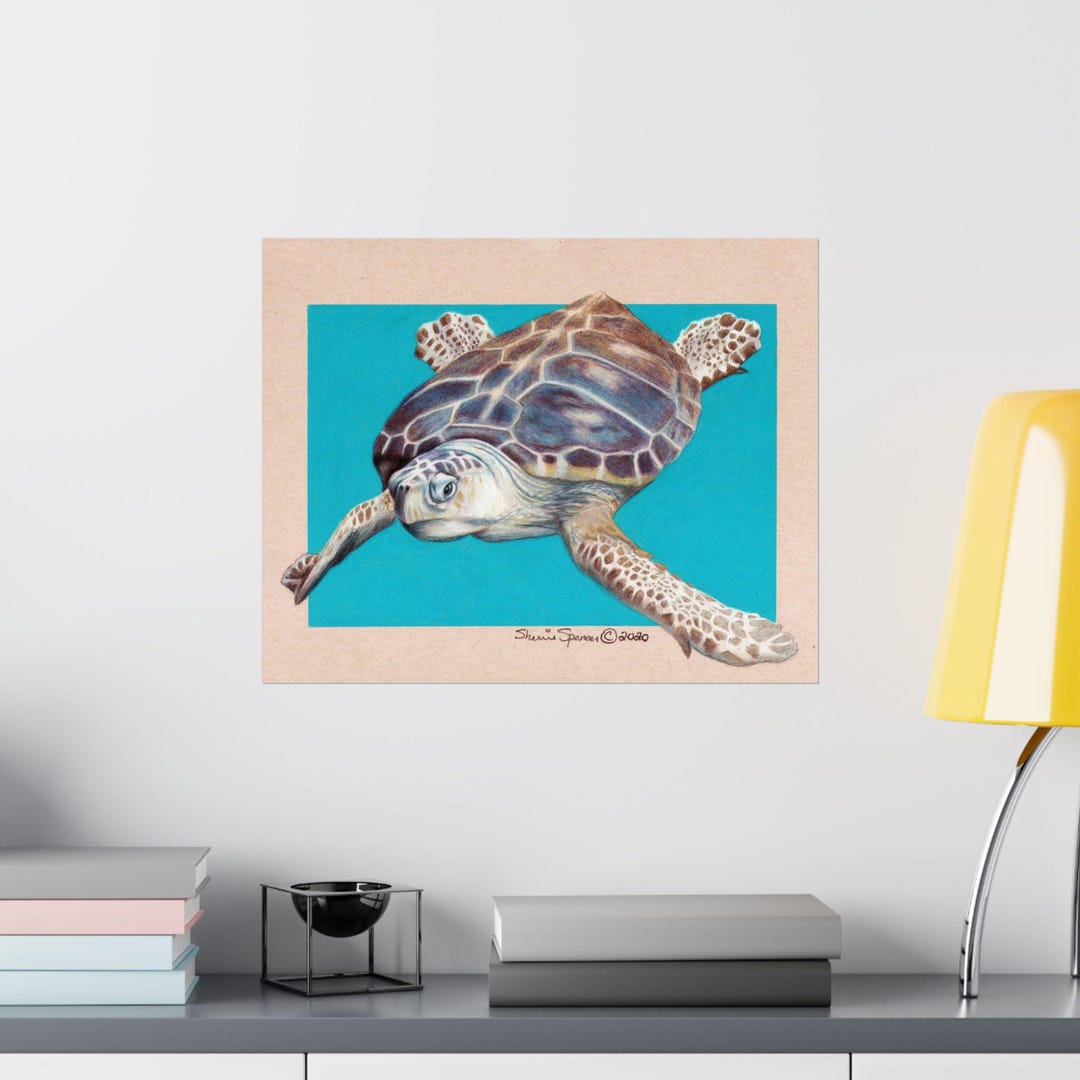 Loggerhead Sea Turtle Matte Horizontal Posters - Etsy