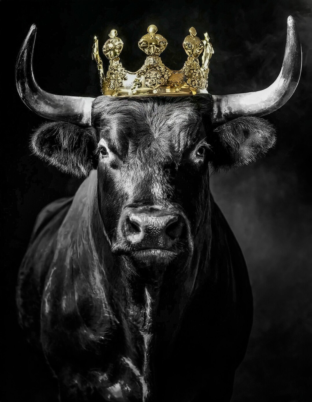 Royal Black Bull in Black and White With a Golden Crown - Etsy