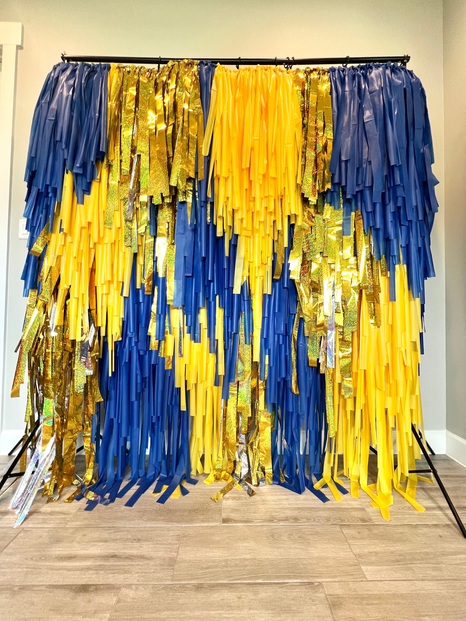 Dream Big- Graduation Party Fringe Photo Booth Backdrop | Blue, Gold ...