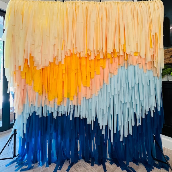 Fringe Backdrop Wall - Etsy