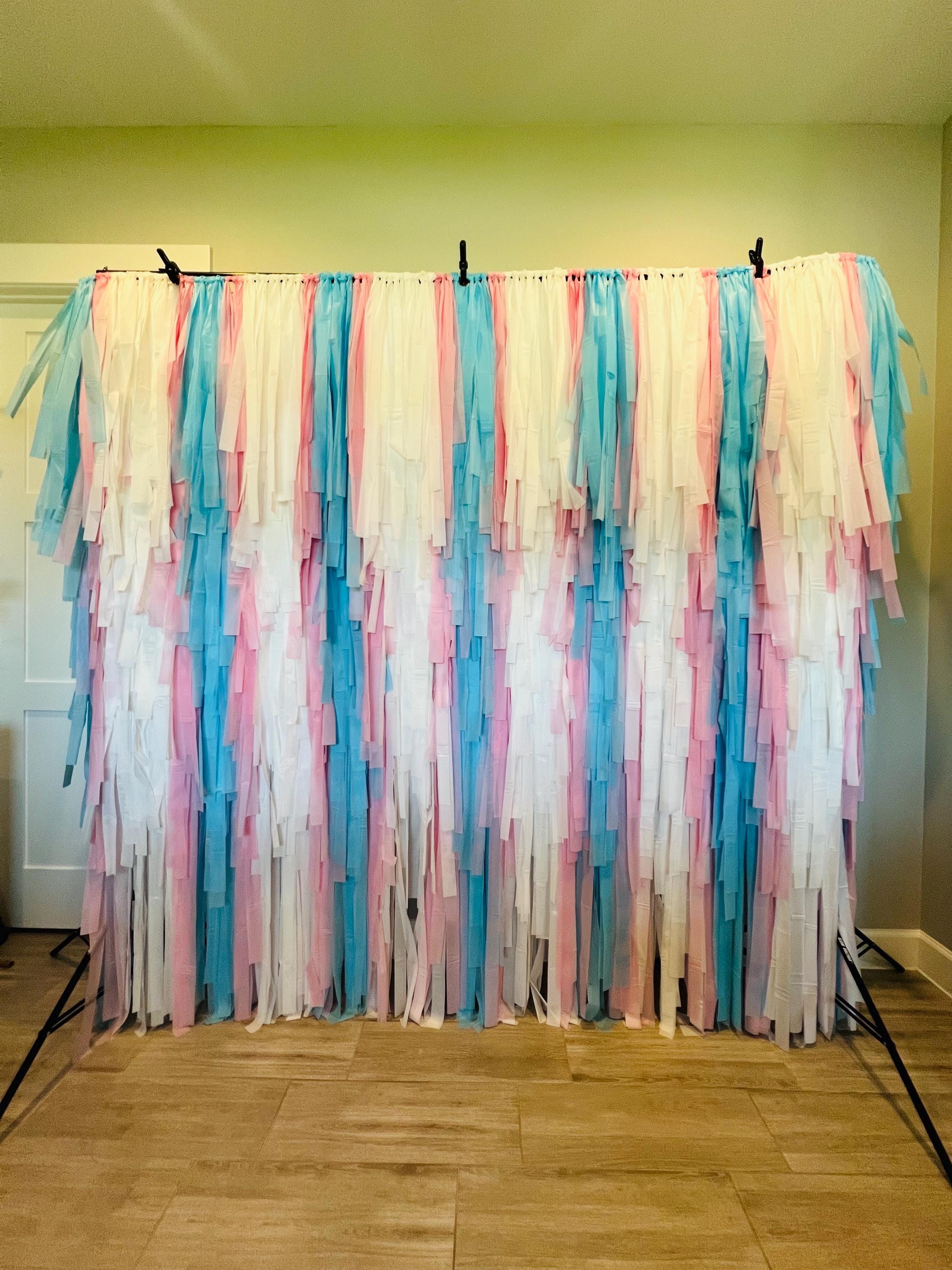 Southern Tide Stripe Gender Reveal Fringe Party Photo Backdrop | Blue ...
