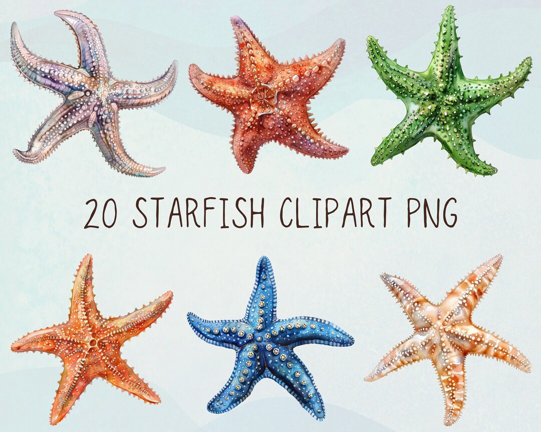 Watercolor Starfish Digital Clipart L Printable Hot Summer Design Clip ...
