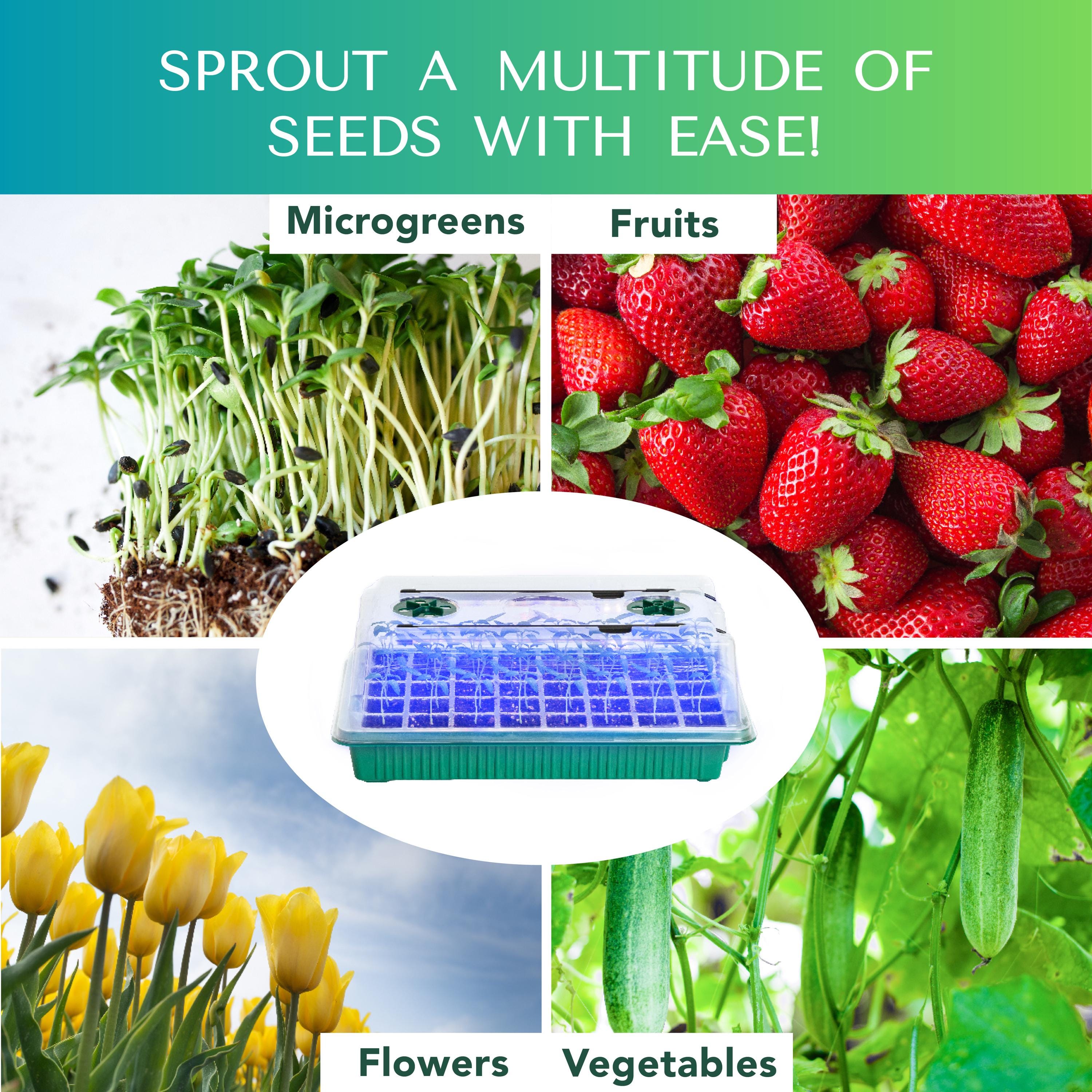 Upgraded Seed Starter Tray With Grow Lights and Heat Mat, 3-in-1 Soil ...
