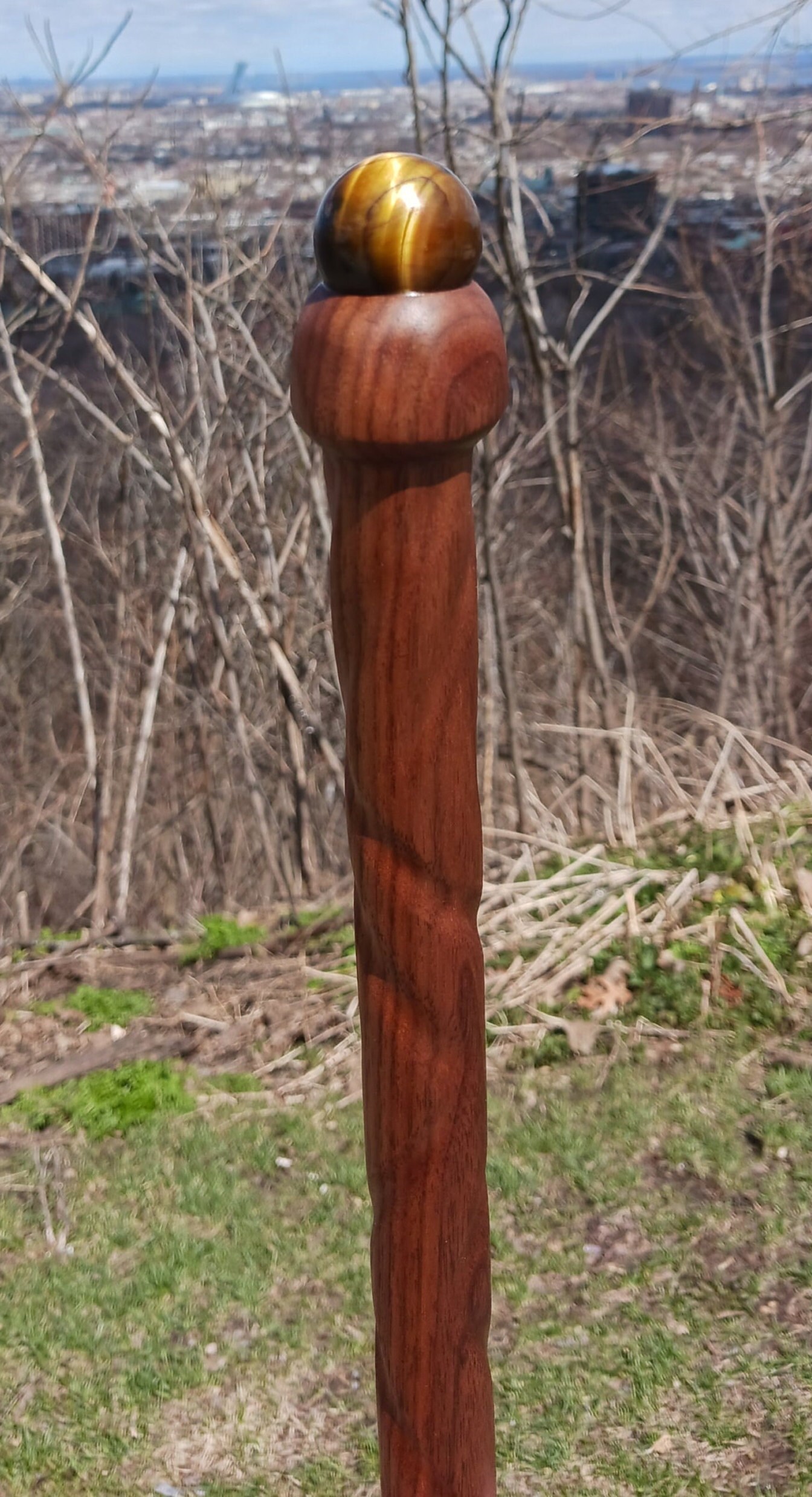 Energy on the GO! The"tiger Eye Cane" Offers You Both Physical Support ...