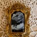 Small T Rex Dinosaur Victorian Goth Renaissance Portrait, Halloween ...