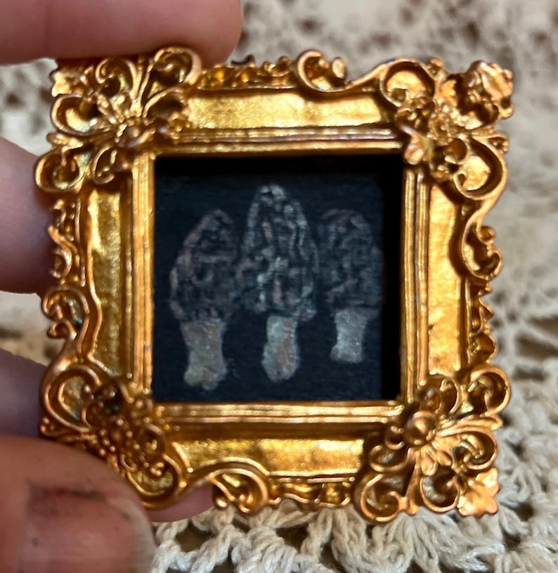 Miniature Morel Mushrooom Oil Painting, Mini Wall Decor, Tiny Art ...