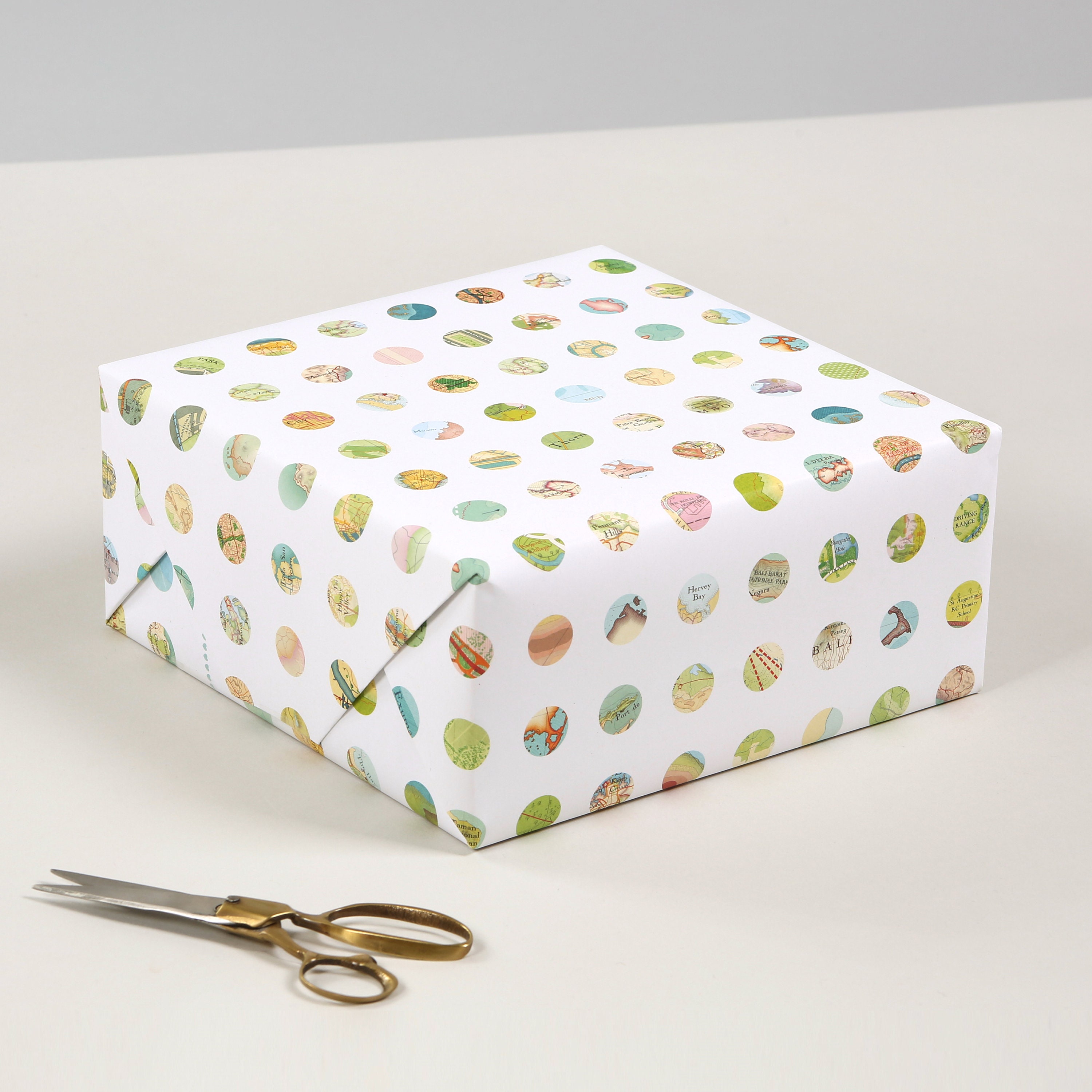 World Map Gift Wrapping Paper - Map