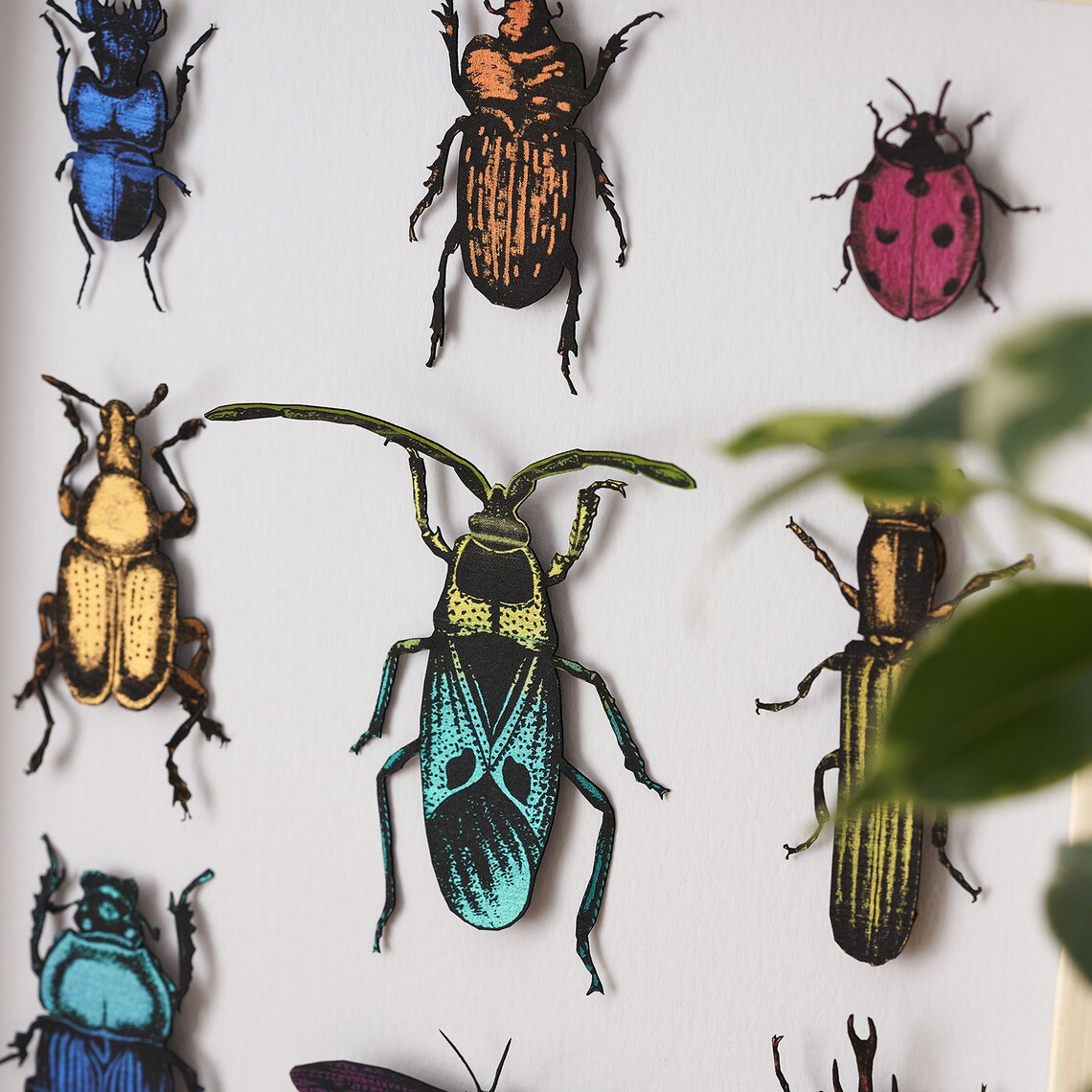 3D Paper Cut Beetle Print, Framed Bug Wall Art Decor, Beetle Insect Art ...
