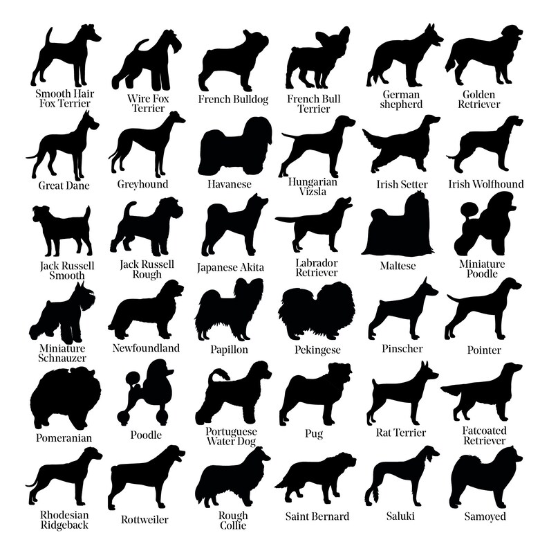 Custom Shape Pet Dog Keepsake Card - Personalised Card From the Dog ...