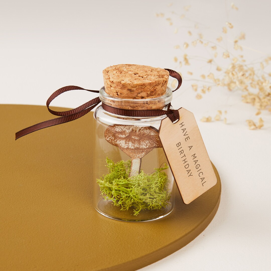 Mushroom Birthday Gift for Him, Hanging Ornament, Keepsake Message ...