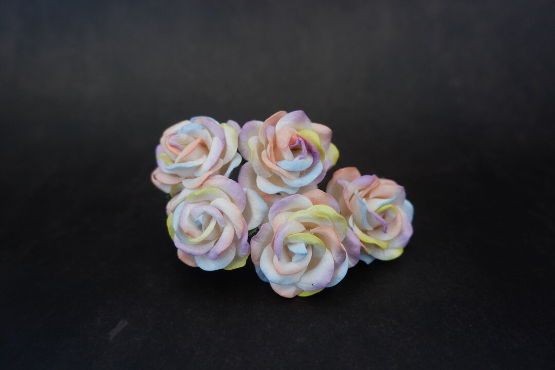 Rainbow Paper Roses (35mm) - Scrapbooking, Bouquet - Set of 5 - Etsy