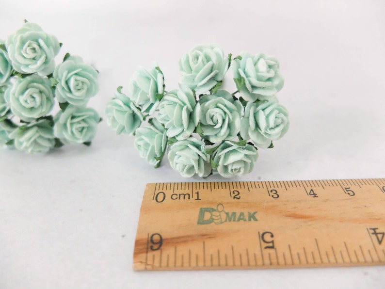 20 Mint Green Paper Roses 15mm Paper Flowers Mint Paper - Etsy