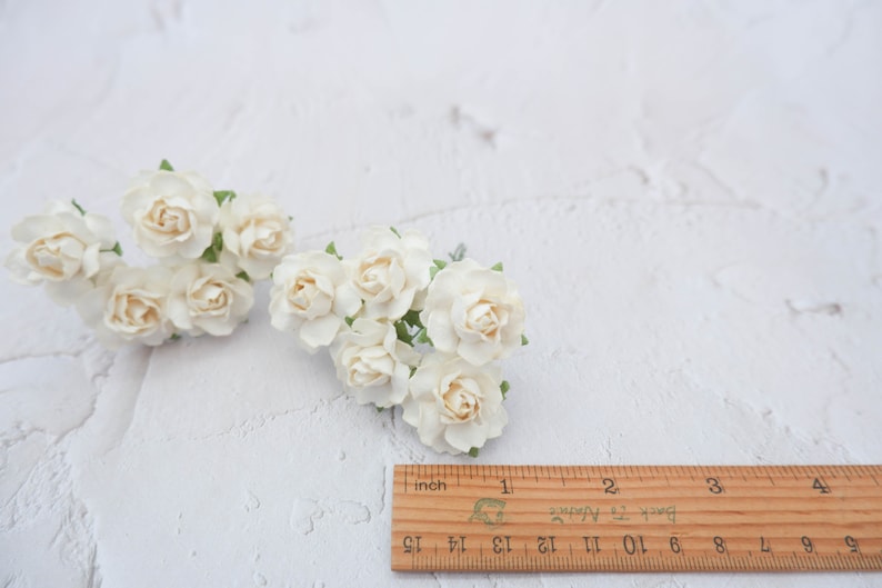 25mm Cream Ivory Paper Peonies With Wire Stems, 2.5 Cm, 1" - Etsy