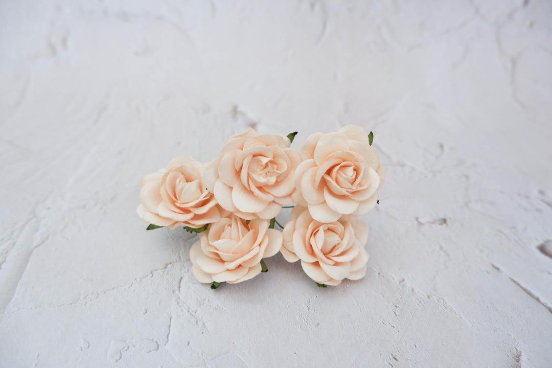 Light Peach Paper Roses, 5 4.5 Cm Pale Paper Rose, 45mm (design B) - Etsy