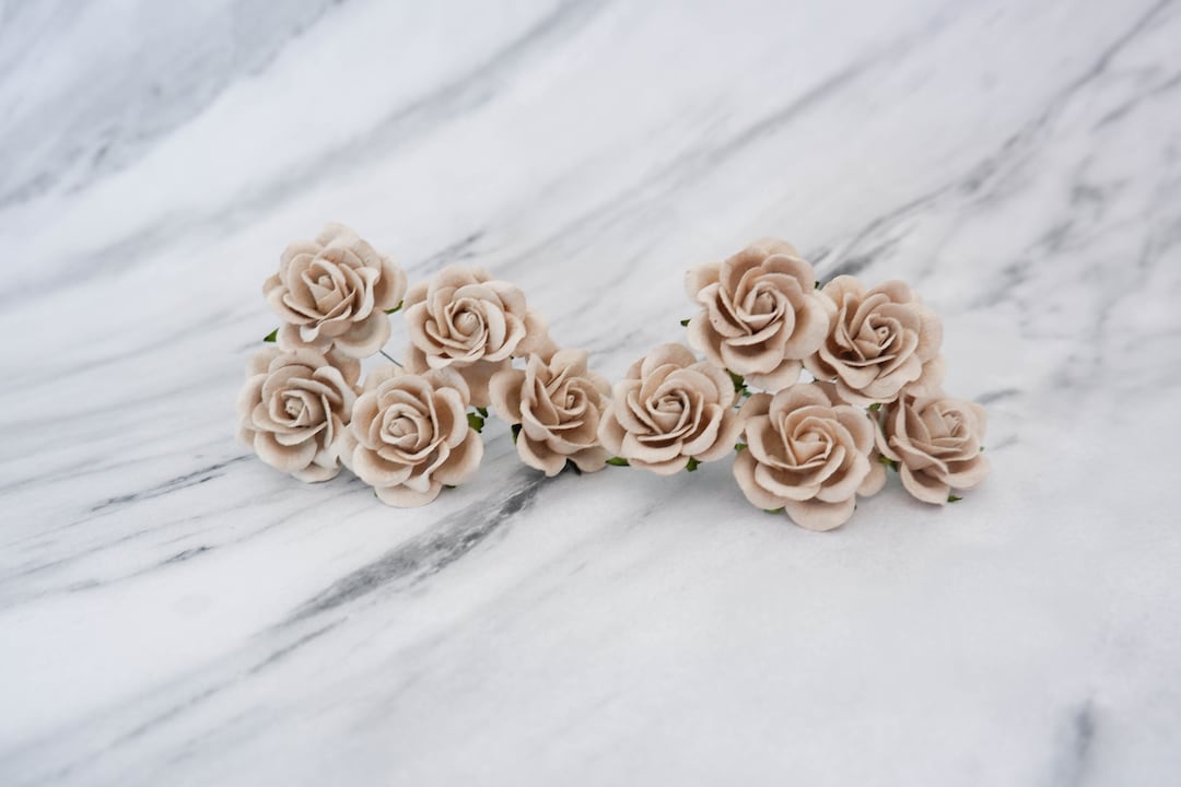 10 35mm Paper Tan Roses With Wire Stem, 3.5 Round Khaki Roses Design B ...