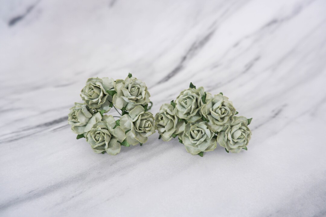 1" Sage Green Paper Roses With Wire Stems, 25mm, 2.5 Cm - Etsy