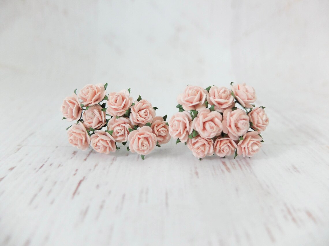 20 10mm Blush Paper Roses Pink Paper Flowers Mulberry Paper | Etsy