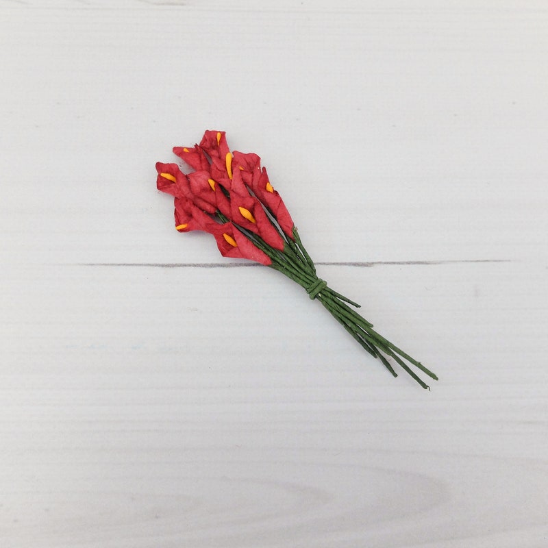 Red Calla Lily - Etsy