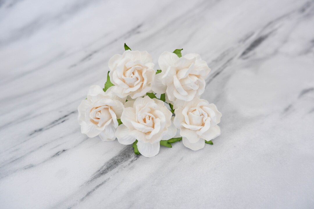 5 40mm Paper Warm White Peonies With Wire Stems, 4 Cm Paper Flowers - Etsy