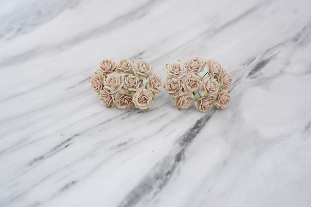 20 roses en papier beige de 20 mm, roses de 2 cm conception B - Etsy France