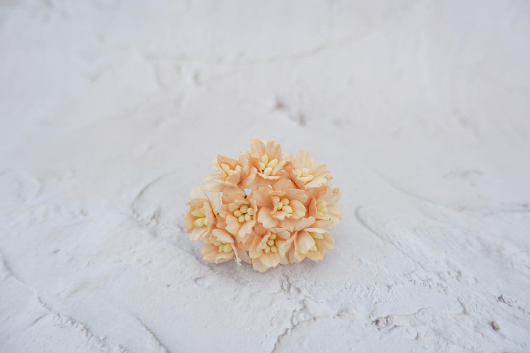 10 20mm Light Peach Paper Cherry Blossoms, 2 Cm Paper Flowers - Etsy