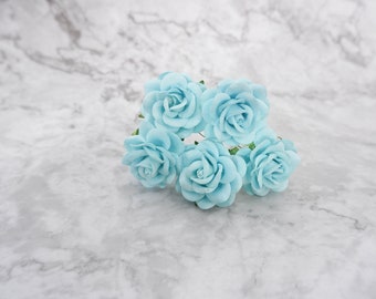 Aqua Blue Roses | Etsy