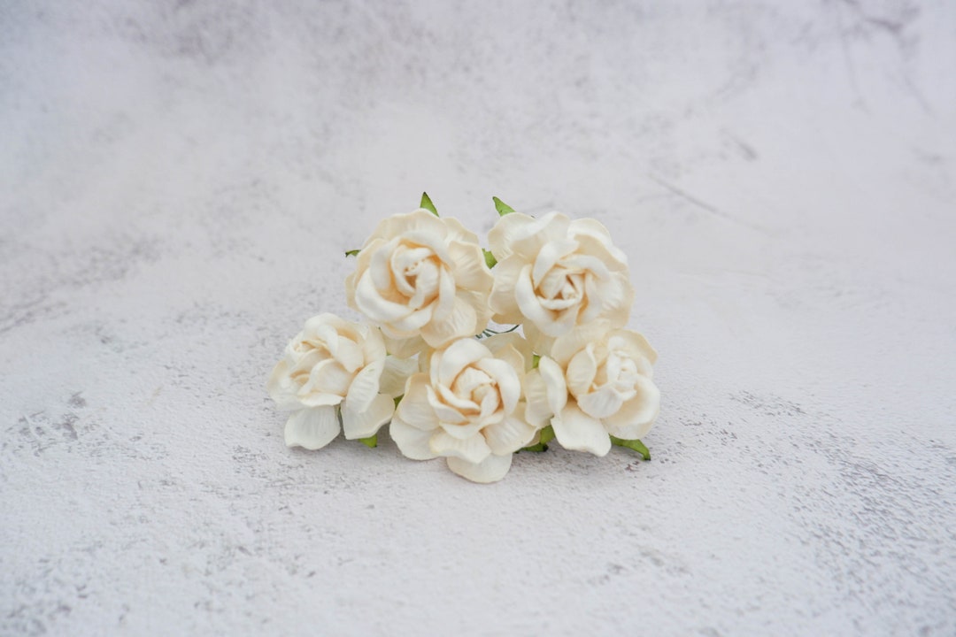 5 40mm Paper Cream Peonies With Wire Stems, 4 Cm Paper Flowers - Etsy