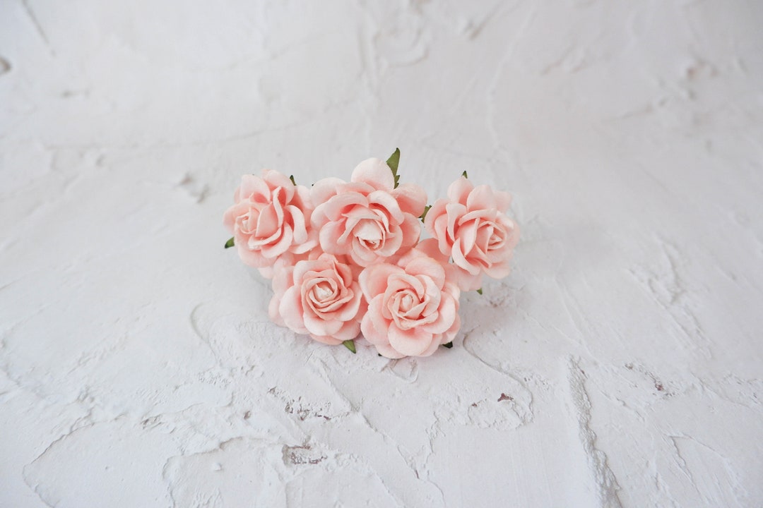 5 4.5 Cm Salmon Blush Paper Rose, 45mm (design B) - Etsy