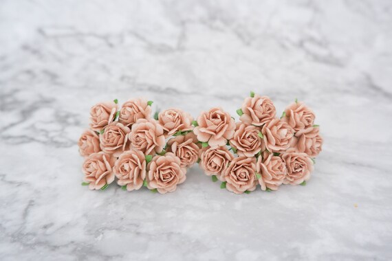 Flowers 20 20mm ovaltine paper roses design B 2 cm roses Outdoor ...