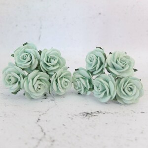 10 25mm Soft Mint Green Paper Roses Green Paper Flowers | Etsy