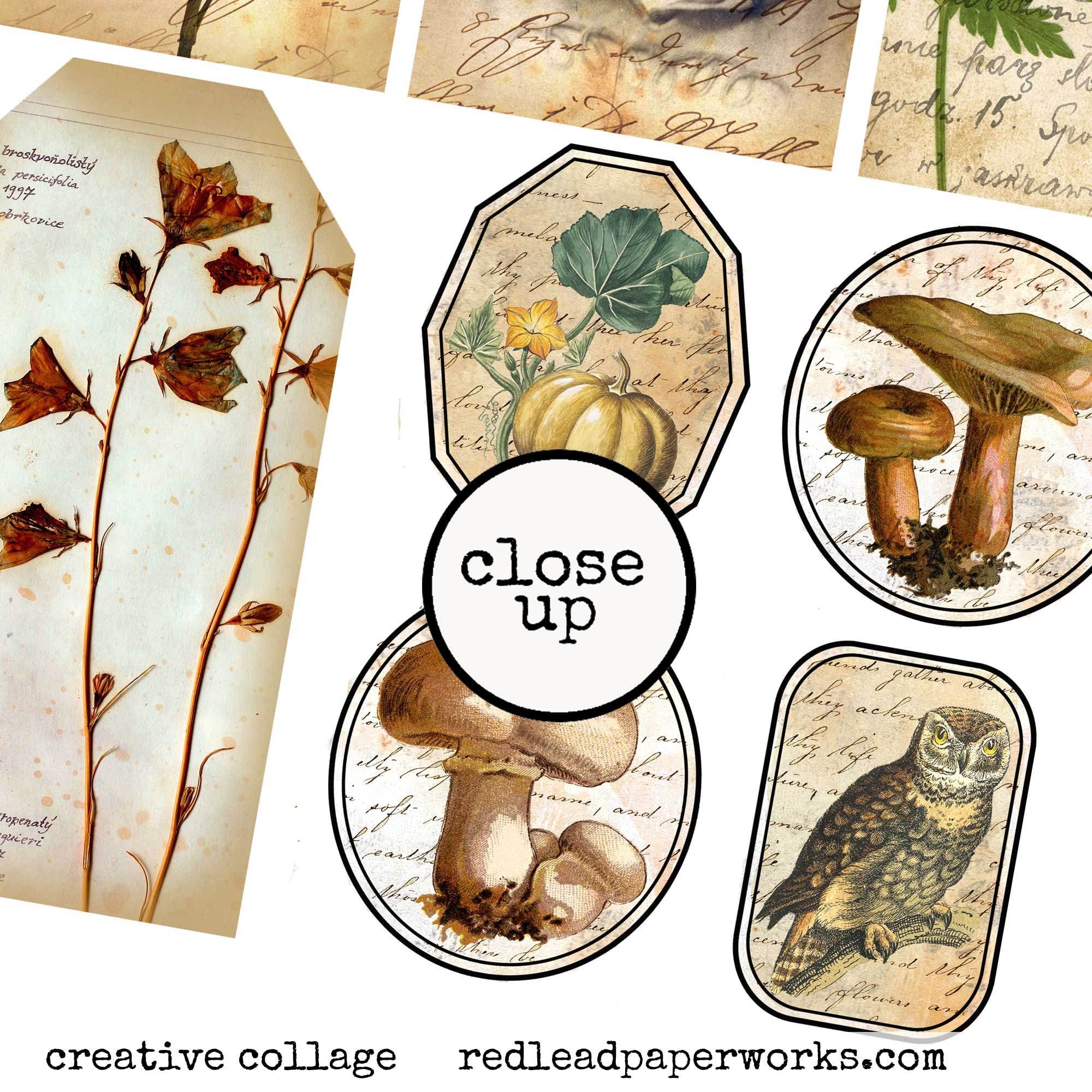 Digital Printable Artist Garden Collage Sheet Collection One - Etsy