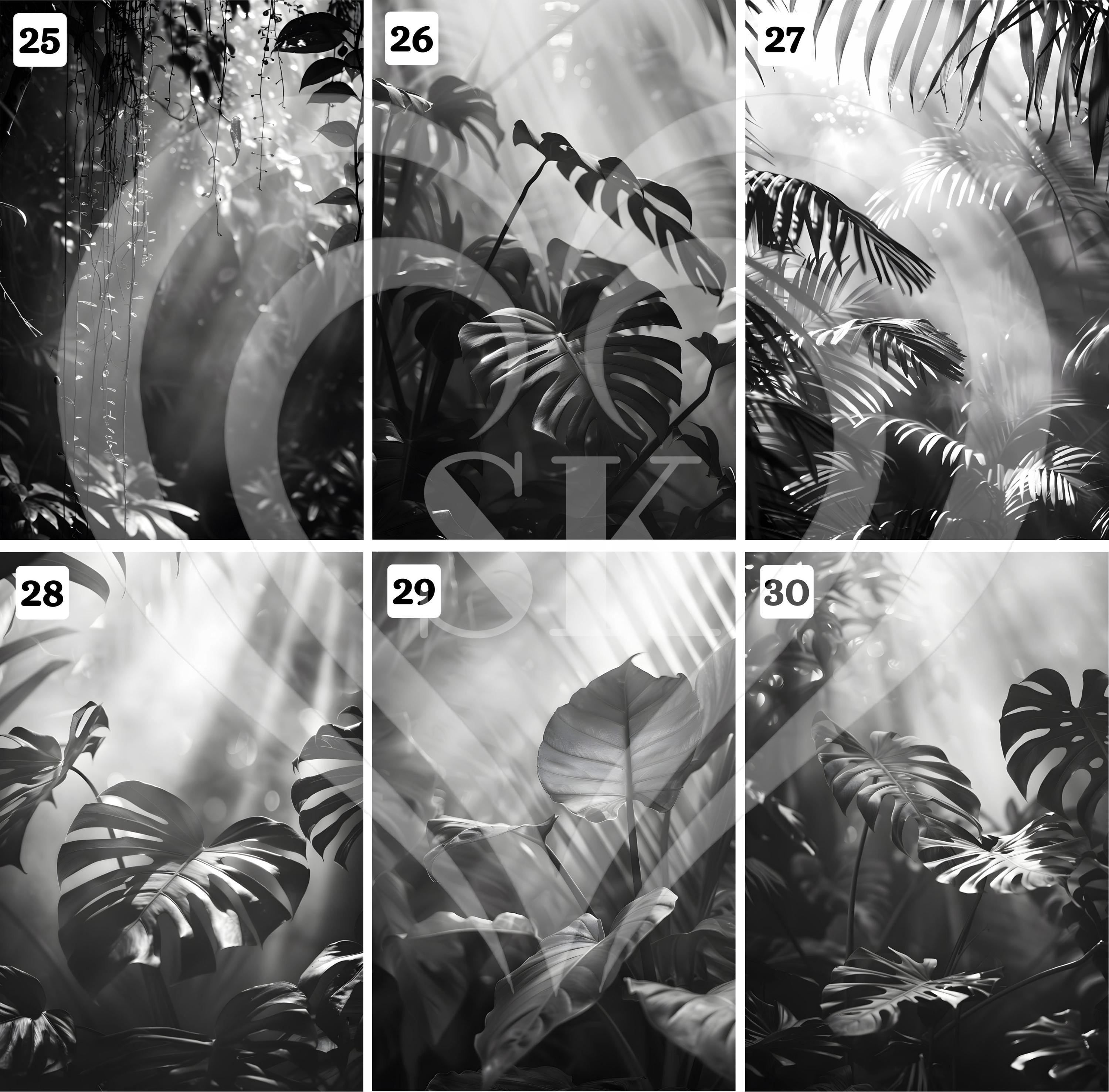 Palm Leaves Textures FOLIAGE OVERLAY Tropical Forest Branches Overlays ...