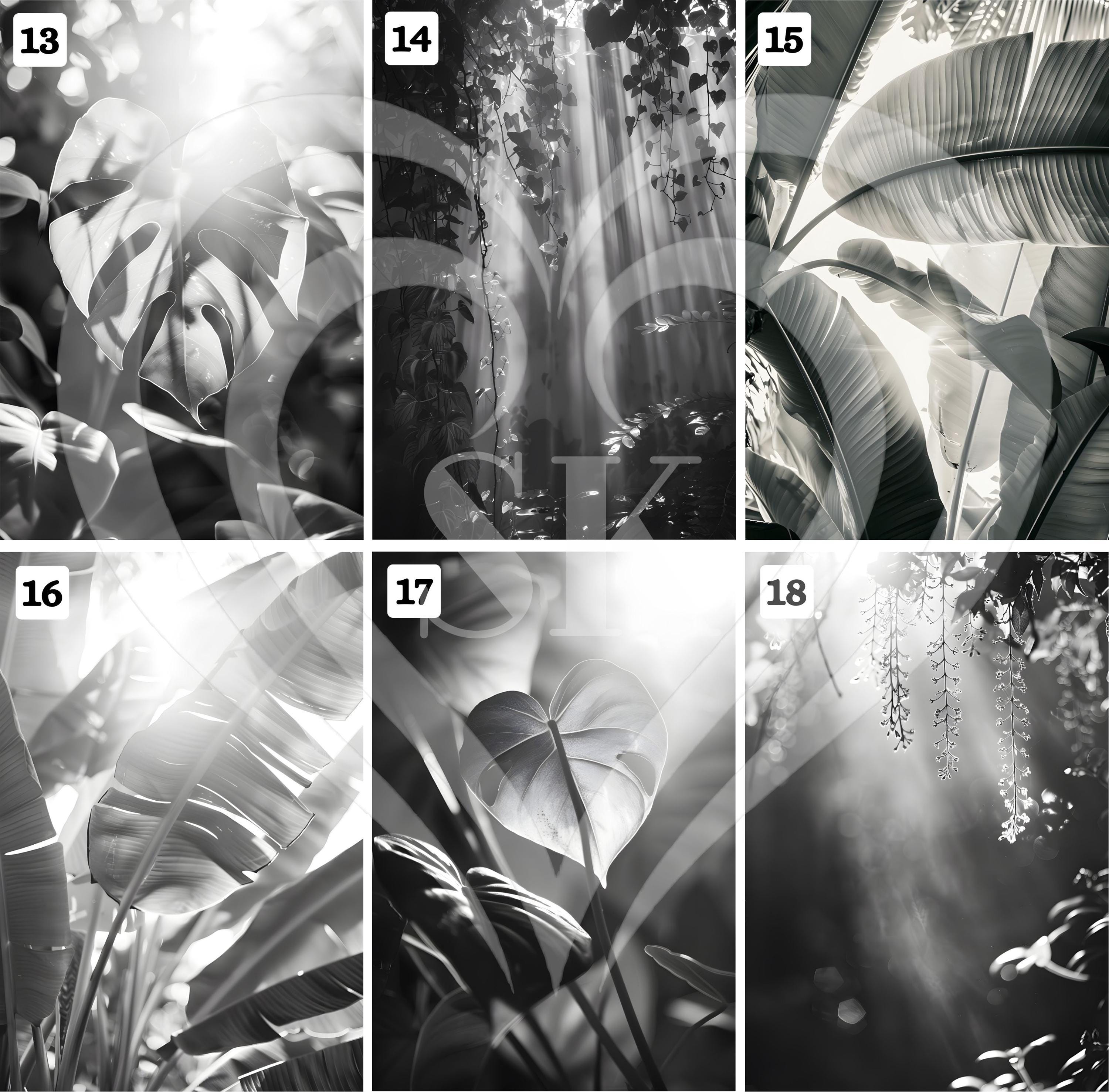 Palm Leaves Textures FOLIAGE OVERLAY Tropical Forest Branches Overlays ...