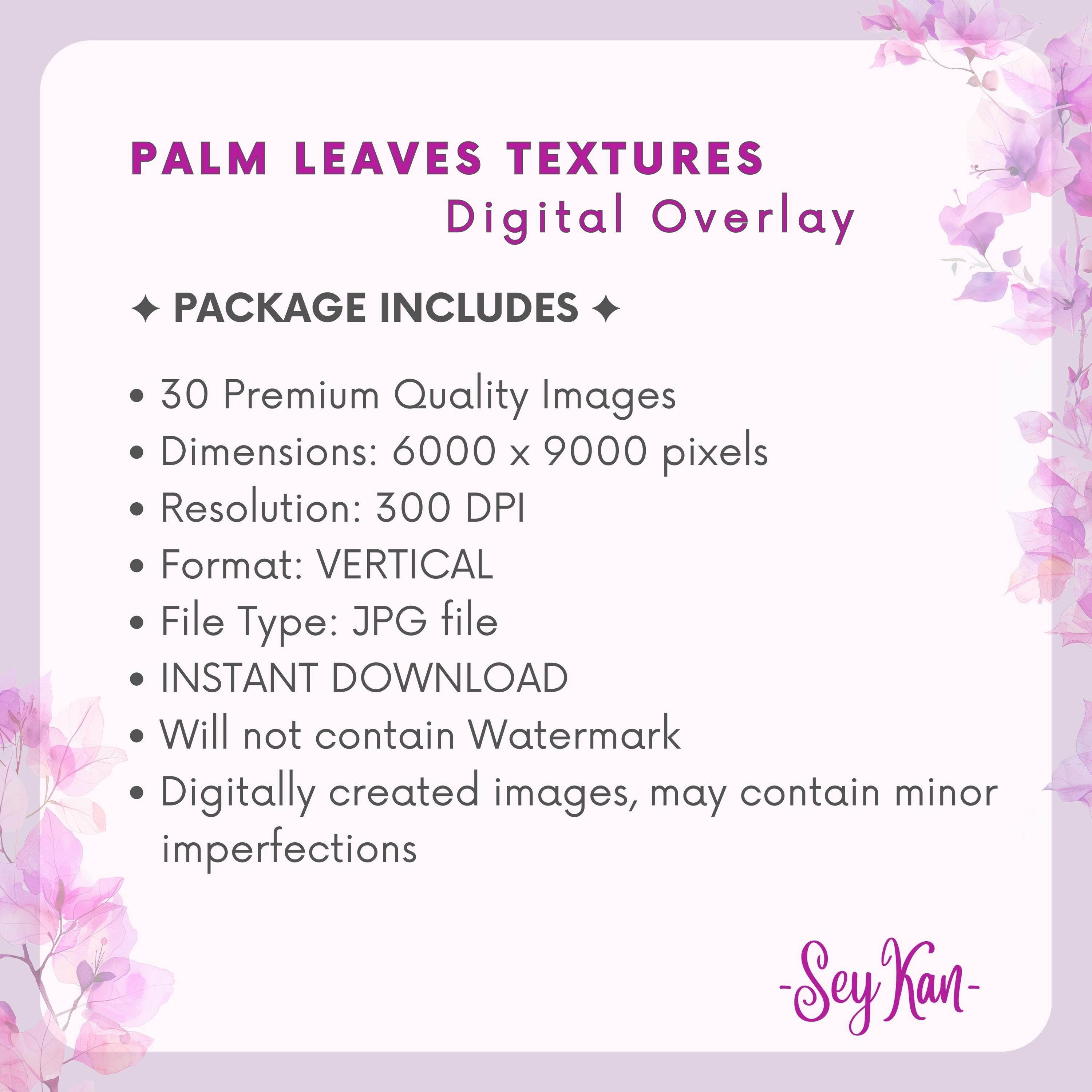 Palm Leaves Textures FOLIAGE OVERLAY Tropical Forest Branches Overlays ...