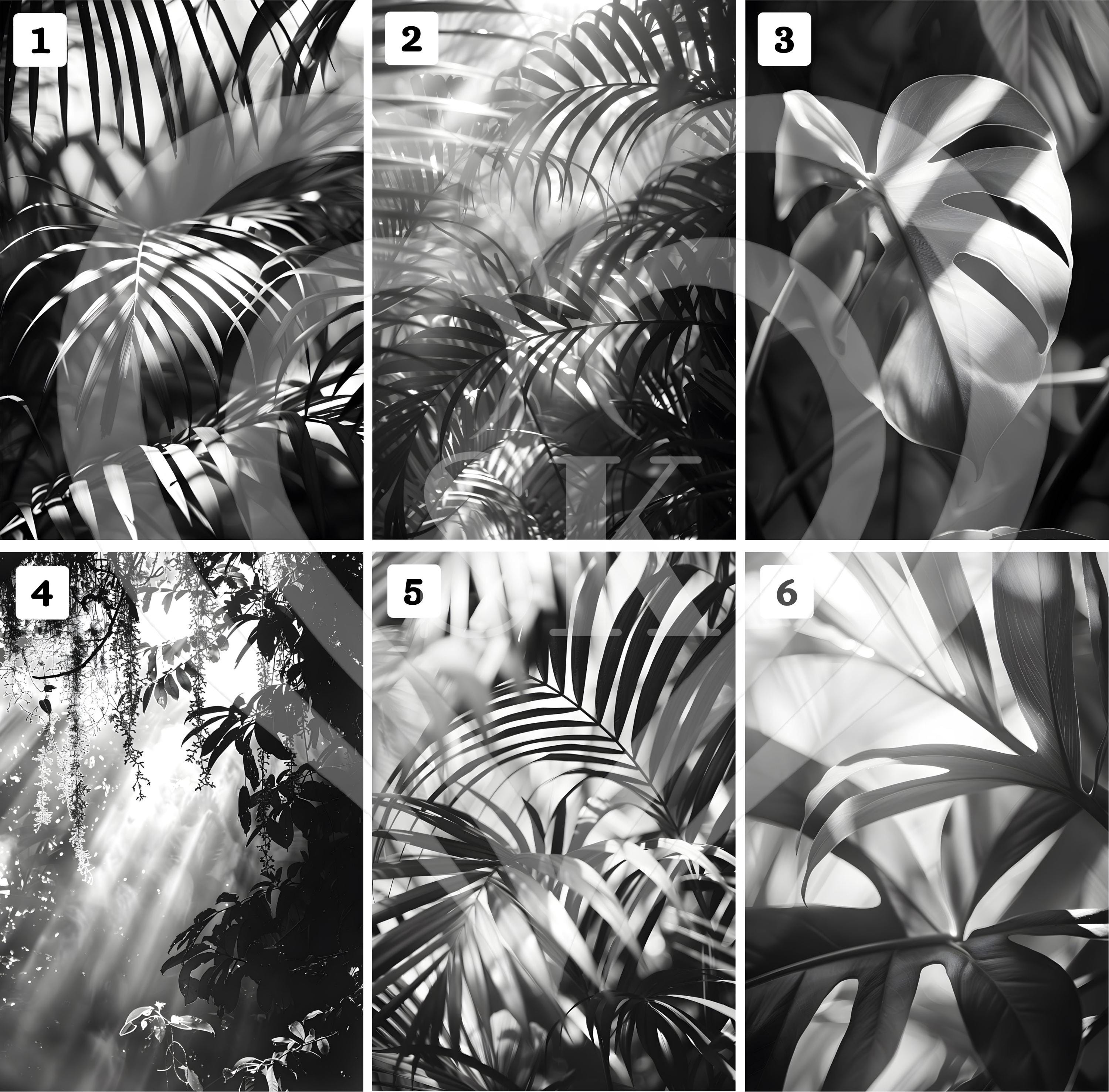 Palm Leaves Textures FOLIAGE OVERLAY Tropical Forest Branches Overlays ...