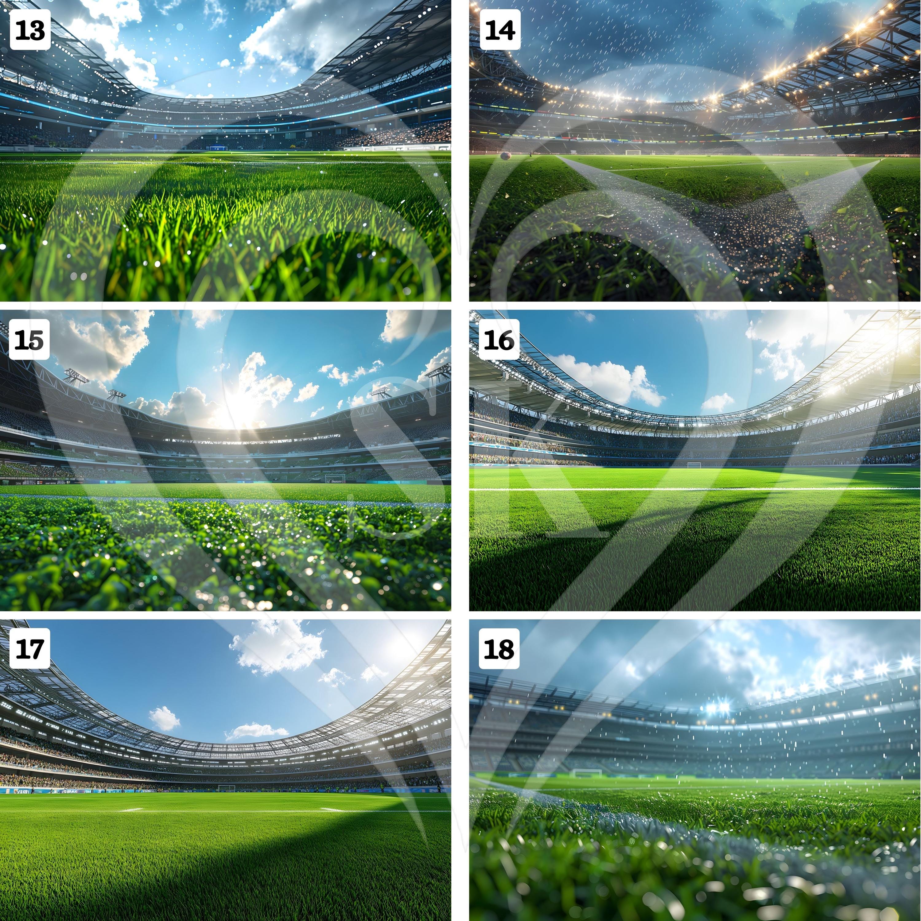 Football Field Stadium DIGITAL BACKDROP Goal Grass Pitch Ground Arena ...