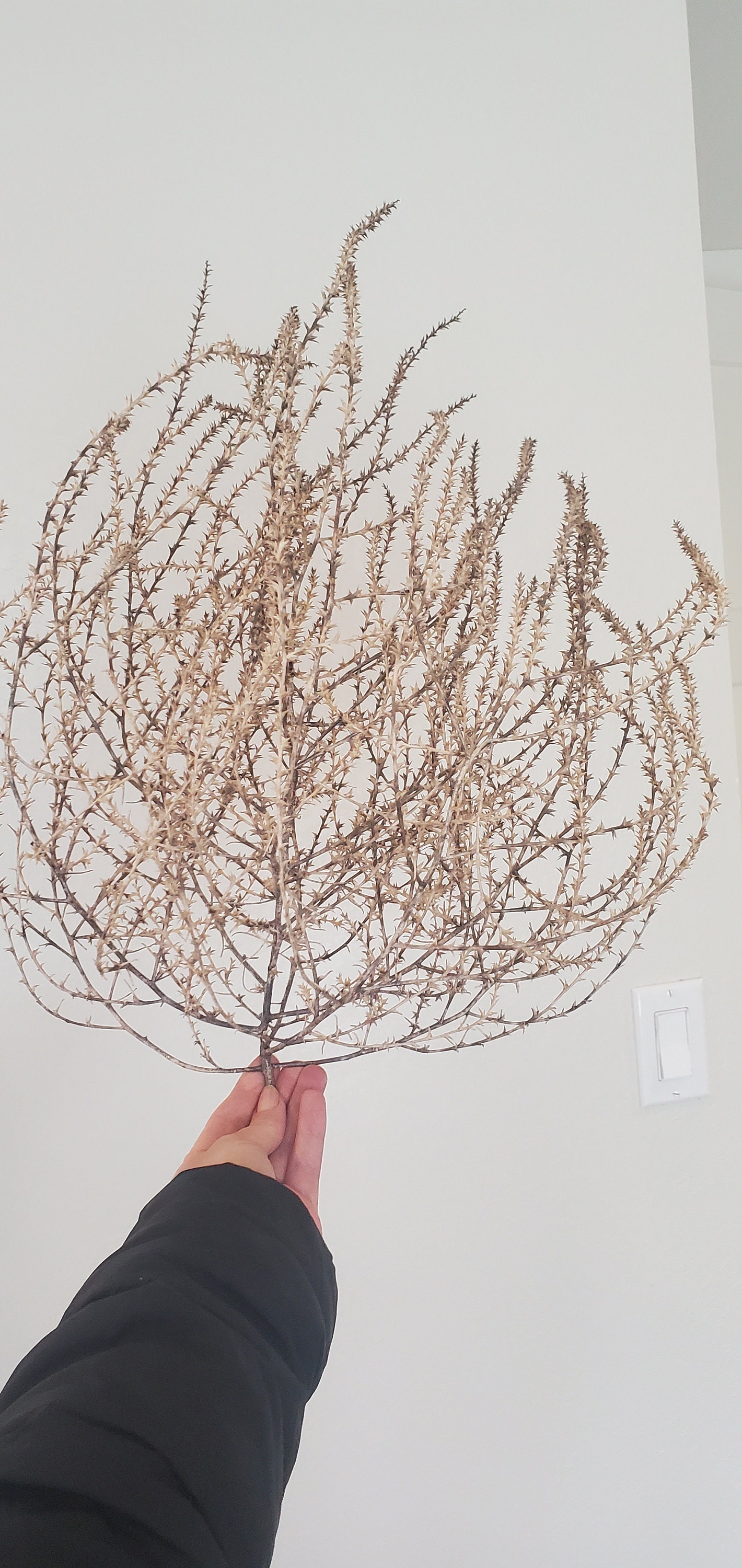 Tumbleweed Decor - Etsy