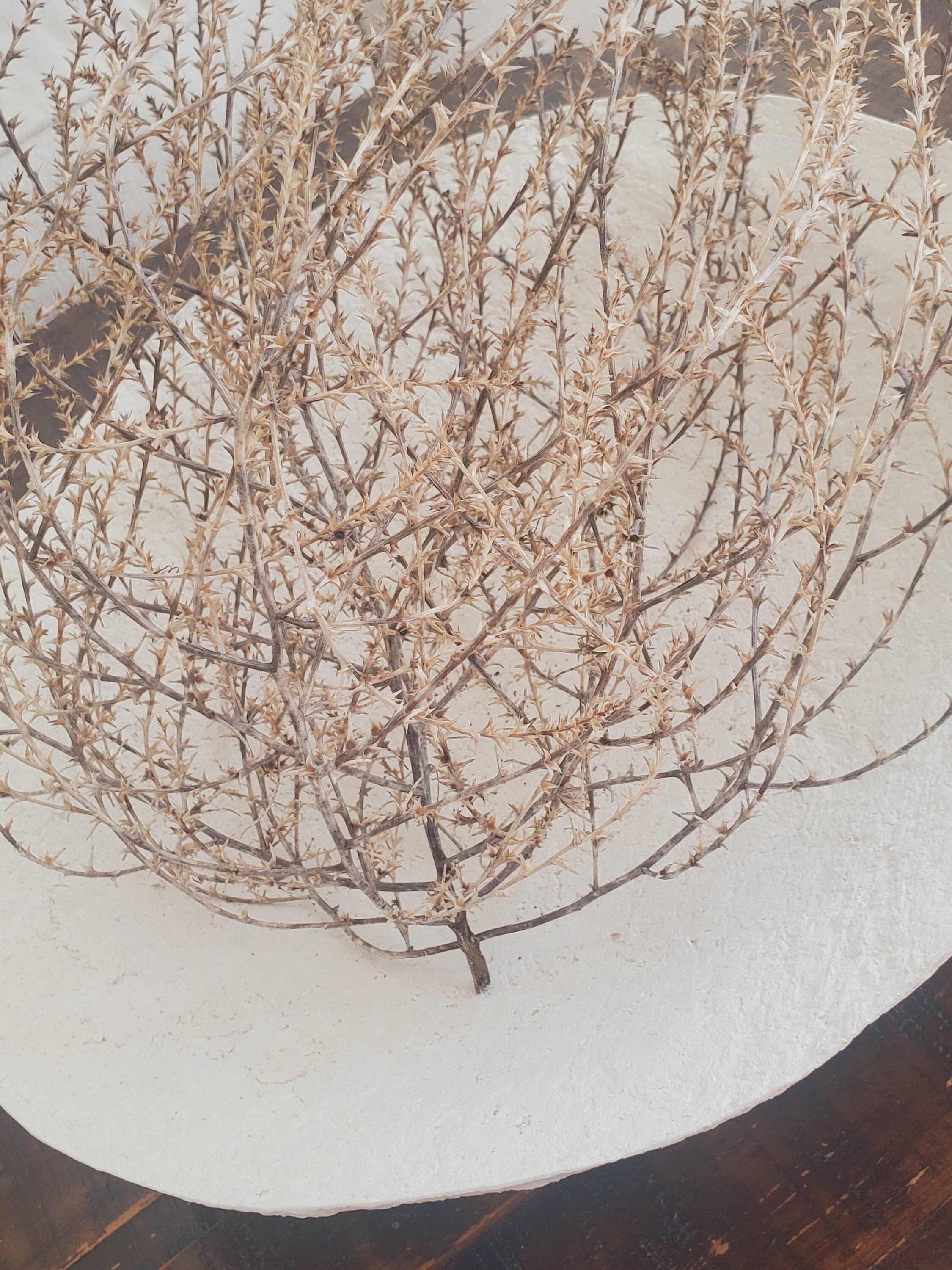 Tumbleweed Decor - Etsy