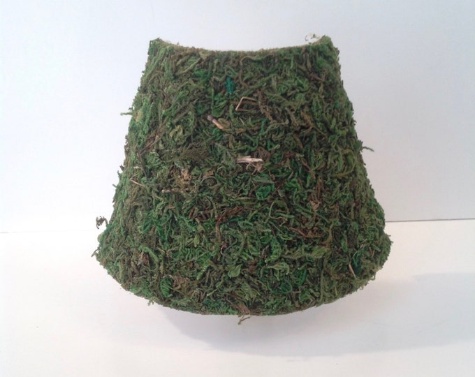 Moss Covered Night Light - Etsy