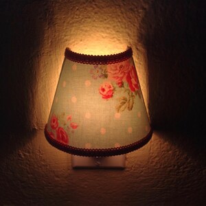 Jessica aqua and Pink Roses Night Light monogramming - Etsy