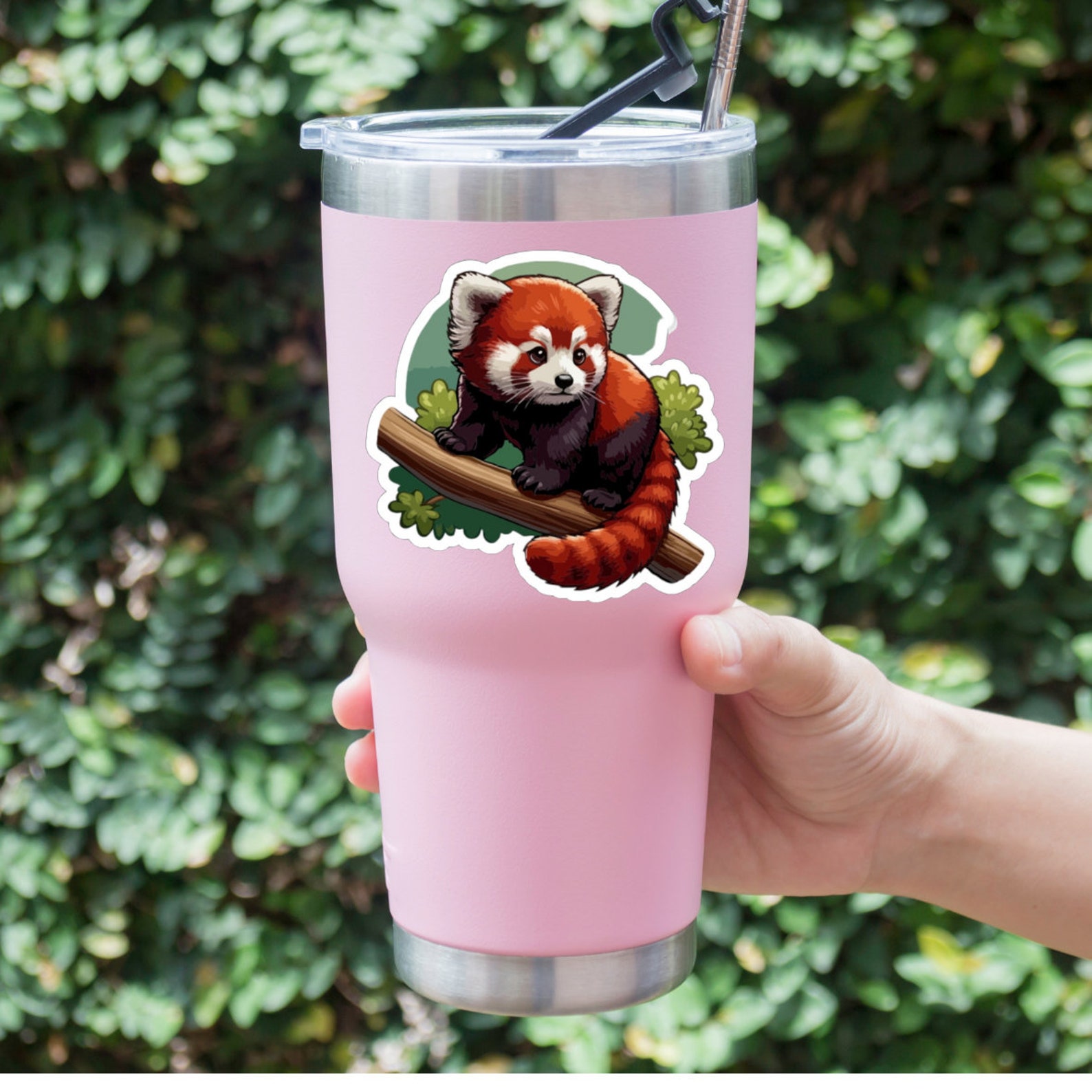 Red Panda Sticker, Red Panda, Cute Red Panda, Red Panda Plush, Digital ...