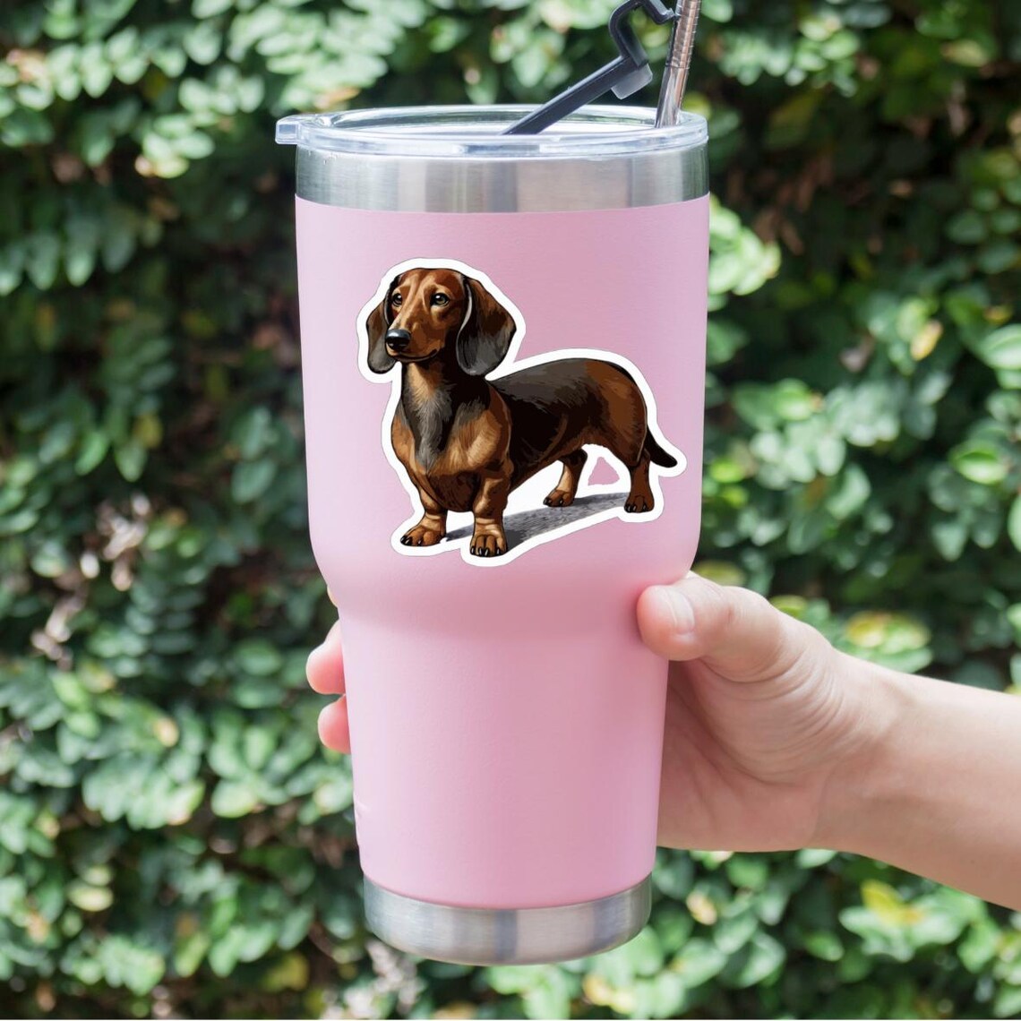Dachshund Sticker, Dachshund Mom Sticker, Dachshund Wall Sticker ...