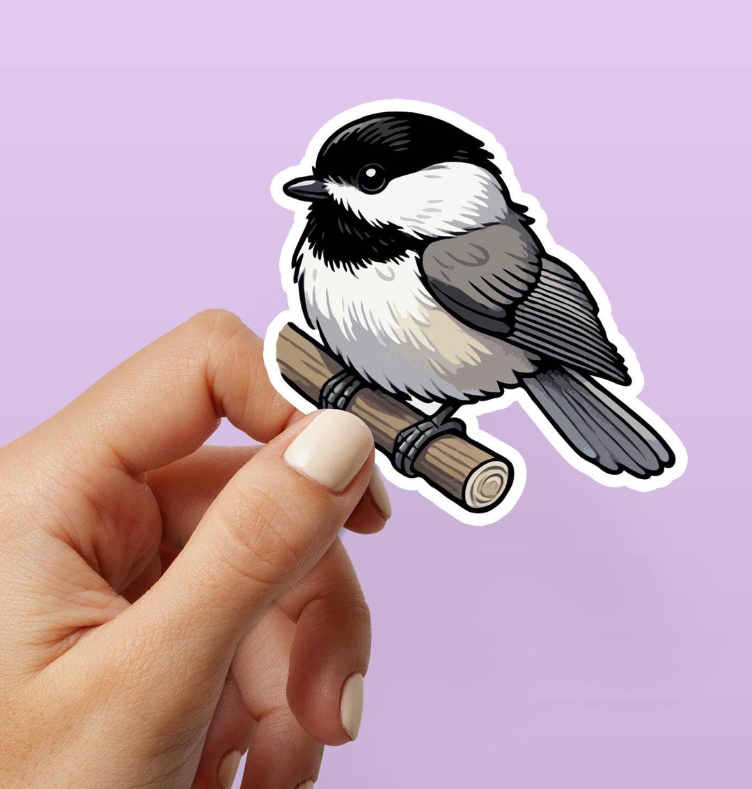 Chickadee Sticker, Chickadee, Chickadee Decal, Chickadee Photo, Wee ...
